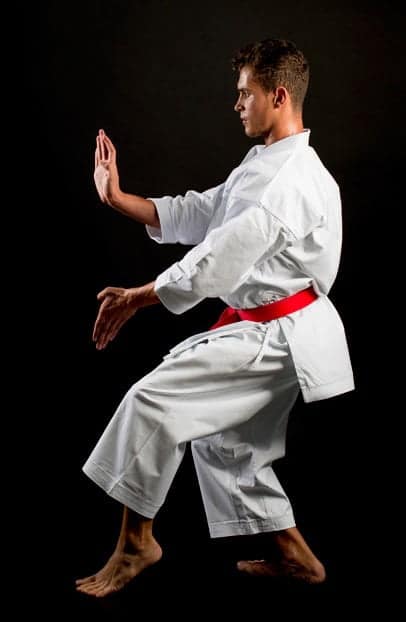 Kimono-karate-gi-excellence-kata-wkf-kamikaze-antonio-alamo-neko-ashi ...